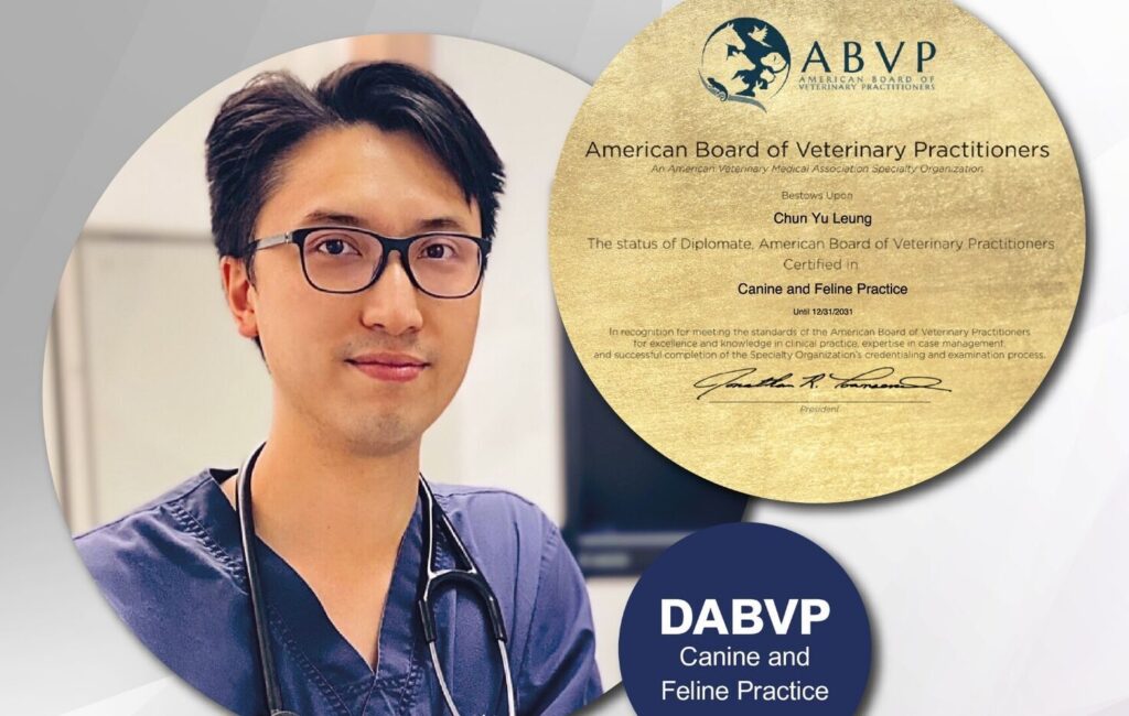 EC Healthcare introduces its first Canine and Feline Specialist ...